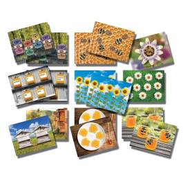 Honey Bee Number Counting Cards