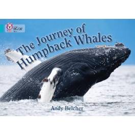 The Journey of Humpback Whales: Band 07/Turquoise (Collins Big Cat)